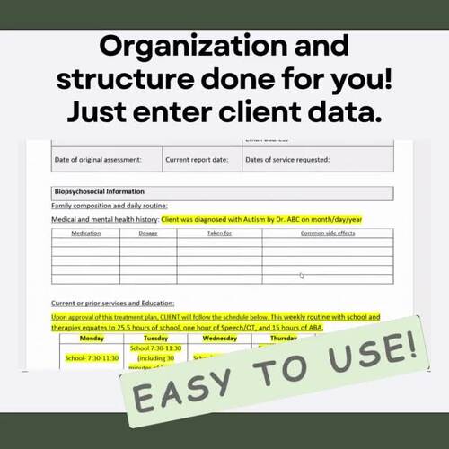 Behavior Intervention Plan Template - BIP Template for ABA therapy