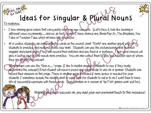 Plural Nouns Singular, Plural, and Irregular Nouns by Second Grade Cuties