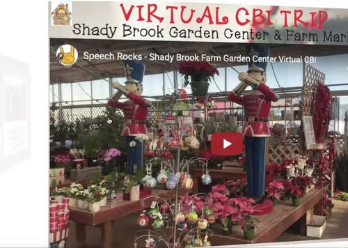 December - Virtual Community Based Trip - Boom Cards by Speech Rocks