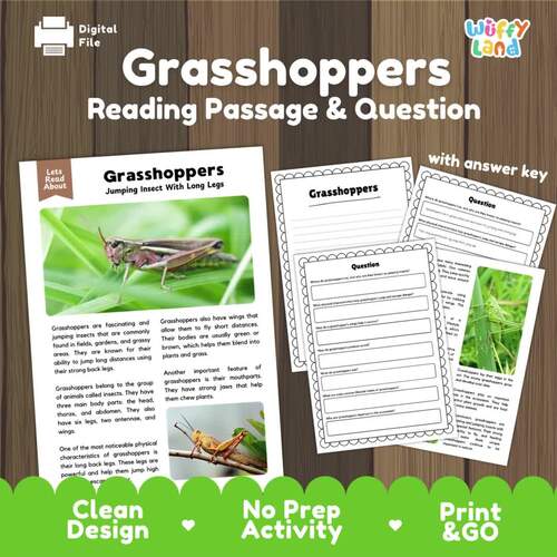 Grasshoppers Reading Passage | Nonfiction Comprehension Questions | Science