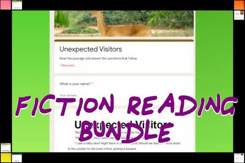 Fiction Reading Comprehension Passages and Questions Bundle 2nd-3rd ...