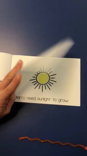 Needs of a Plant Guided Reading Book Level B by The Emergent Reader Teacher