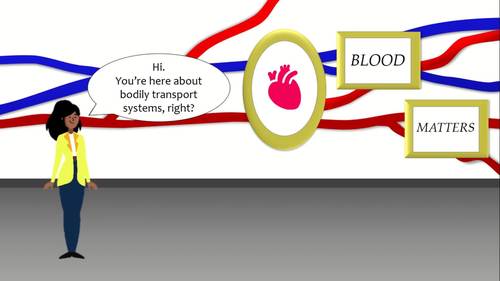 Blood vessels and blood composition: science, anatomy by eddly | TPT