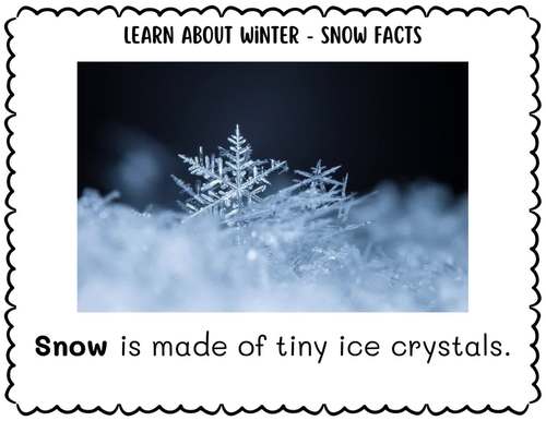 Printable and Digital Facts about SNOW in the WINTER with Google Slides