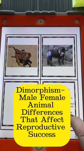 Dimorphism- Male Female Animal Differences that Affect Reproductive ...