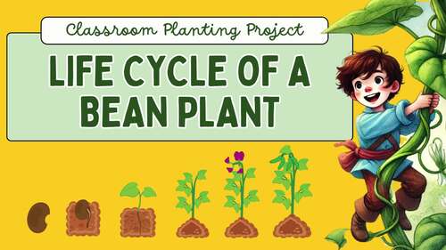 Jack and the Beanstalk – Plant & Life Cycle Presentations | PPT | PDF ...
