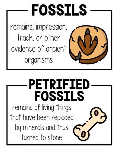 Science Word Wall Cards for Middle School | Earth's History Vocabulary