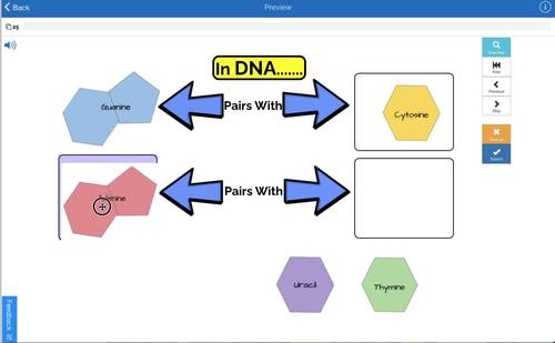 DNA/ RNA Protein Synthesis (SIMPLIFIED VERSION) Task Cards - Boom Cards