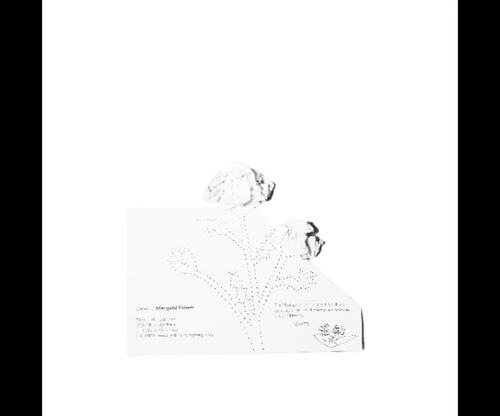 Day of the Dead / Dia De Los Muertos Holiday Activity & Lesson | TPT