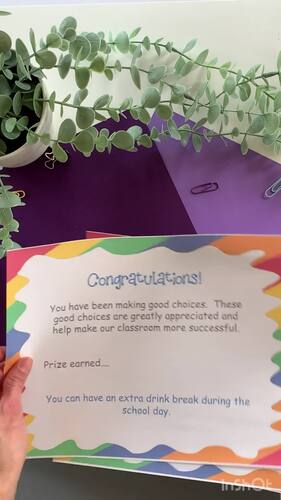 Classroom Prizes and Certificates by BXC Creations | TPT