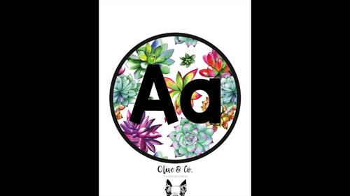 Word Wall Letters Pack Succulent Theme by Olive and Co | TPT
