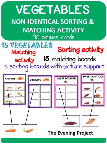 VEGETABLES NON-IDENTICAL SORTING & MATCHING ACTIVITY with real photos