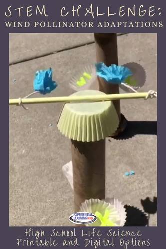 High School Stem Challenge: Adaptations and Wind Pollination Lesson