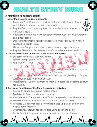 Endocrine and Reproductive Systems Review and PDF Study Guide | Health ...