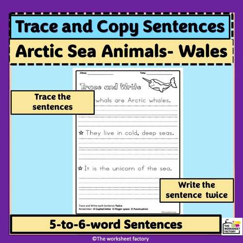 Arctic Whales Copy the Sentences|Narwhal Orca Beluga |Sea Animal ...