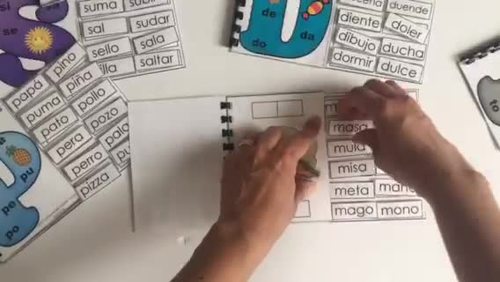 Spanish Guided Reading | Libritos de Sílabas | D-T-N-R by Sra Tatiana