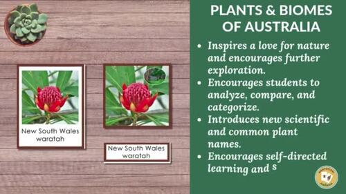 Plants and Biomes of Australia Map 3 Part Cards Sort Facts Montessori