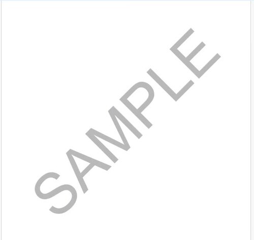 Bull Run Novel Units® Student Packet Novel Study | TPT