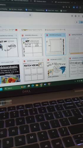 Open Court Unit 2 Lesson 4 Get the Facts by Andrea White | TPT