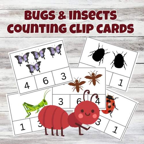 Bug and Insects Activity Math Counting Clip Cards - Pre-K Kinder Mat ...