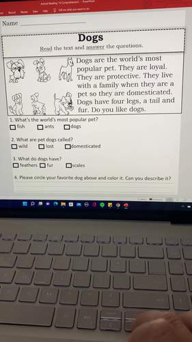 Morning Work Animal Reading Comprehension by Christy's Creative Corner