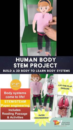 Human Body Systems STEM Model Project to Study Human Anatomy and Organ ...