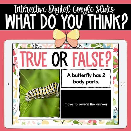 Caterpillars & Butterflies True or False Nonfiction Interactive Activity