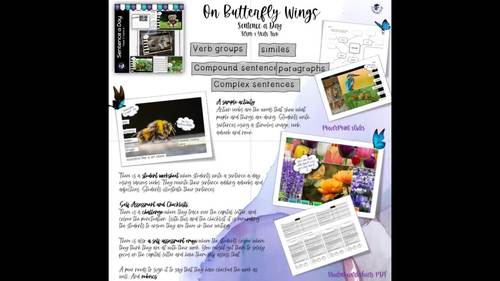 Sentence Writing Grade 2 Weeks 31 to 40 by On Butterfly Wings | TpT
