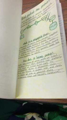Protein Synthesis Project by Mrs Esser's Science Spot | TpT