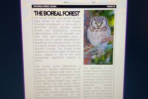 Environmental Science & Ecology, Boreal Forest, wildfire, ecosystem ...