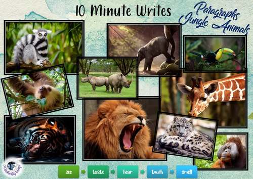 Paragraph Writing Jungle Animals by On Butterfly Wings | TPT
