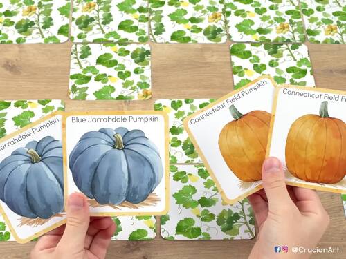 Pumpkins and Squash Memory Game | Visual Matching & Concentration Fall ...