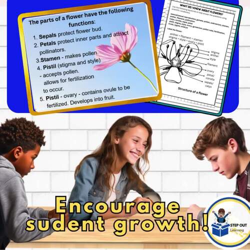 Plant reproduction & Parts of a flower diagrams, worksheets, activity ...