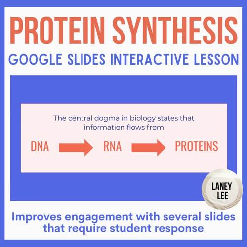 Protein Synthesis Google Slides Interactive Lesson by Laney Lee | TPT