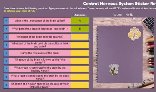 Central Nervous System Sticker Reveal-Nervous System Activity | TPT