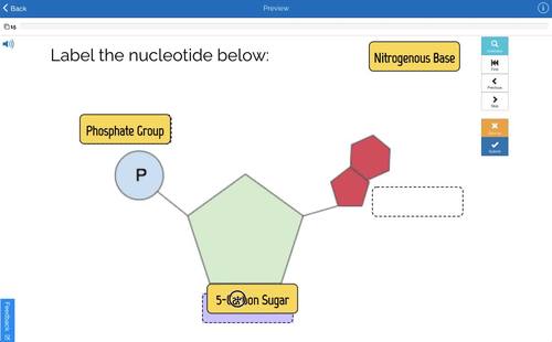 DNA, RNA and Transcription Boom Cards - Digital Task Cards | TPT