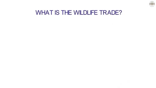 The Wildlife Trade | Video Lesson, Handout, Worksheets | Environmental ...