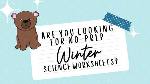 Winter Science Bear Hibernation Worksheets by Ms Jenessas Desk | TPT