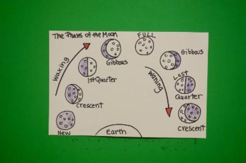 Let's Draw The Phases of the Moon! by Patty Fernandez Artist | TPT