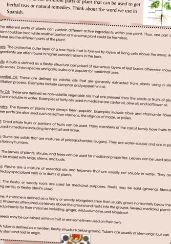 Herbal tea lesson (fully editable): vocabulary, reading and speaking + keys