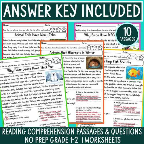 Animal Adaptation Reading Comprehension Questions & Passages for 2nd ...