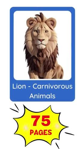 Herbivores Carnivores Omnivores Animals Educational Flashcards ...