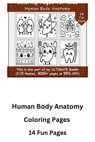 Human Body Anatomy Coloring Pages | Creative Printable Art for Kids ...