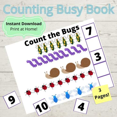 Numbers Busy Book, Numbers Worksheet by Aplace4mamas | TpT