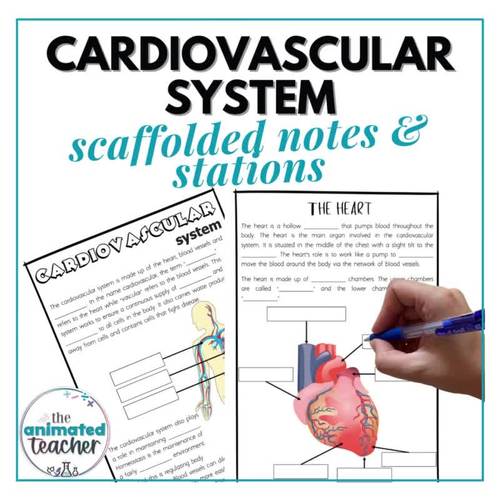 The Cardiovascular System Diagram Labelling Worksheets and Stations
