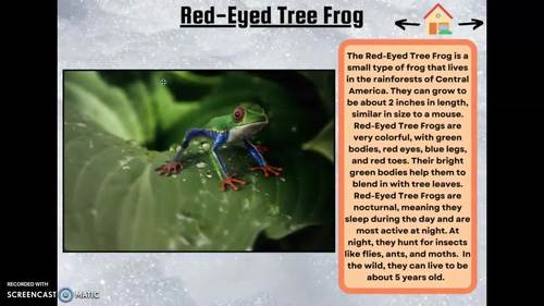 Short Non-Fiction Passage Comprehension w/ WH Questions Boom Card™ Bundle