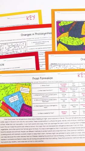 Fall Science Review Reading Comprehension Activities Autumn Science