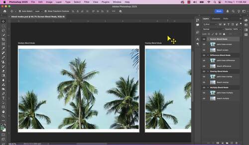 Adobe Photoshop 2025 Multiple Choice Certification Practice | TPT