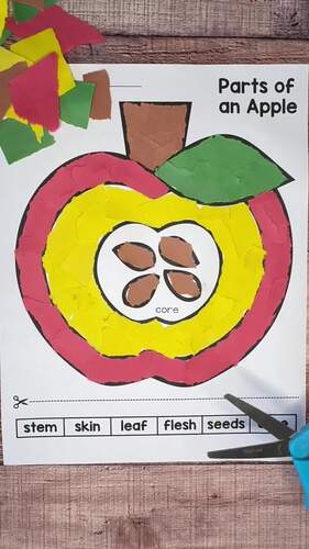 Apple Craft | Label Parts of an Apple Science | Fine Motor Art Activity ...
