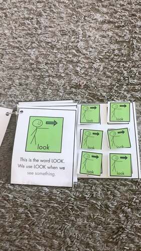 LOOK AAC Visuals | Attention & Engagement Mini Adapted Book by Lenidrik ...